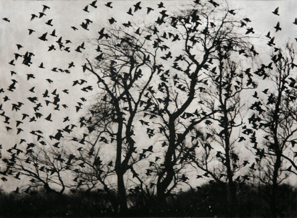 Michael Ast | Etchings (2010 – 2018)