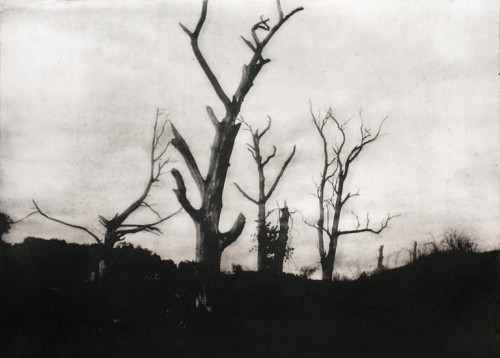 Michael Ast | Etchings (2010 – 2018)