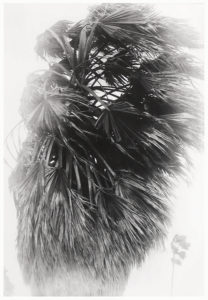 Michael Ast | Etchings (2010 – 2018)