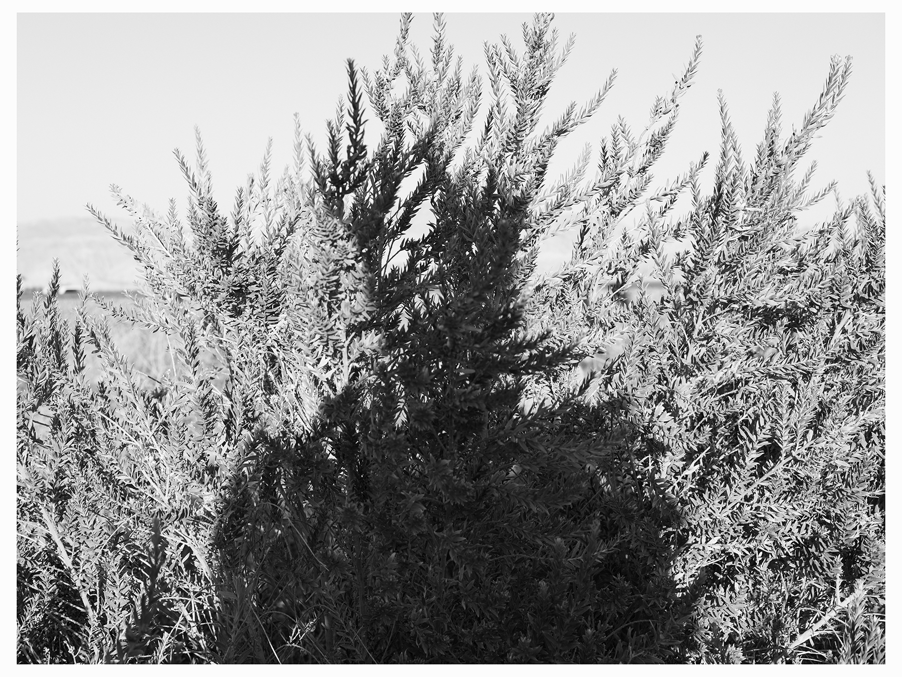 Michael Ast - Photographer